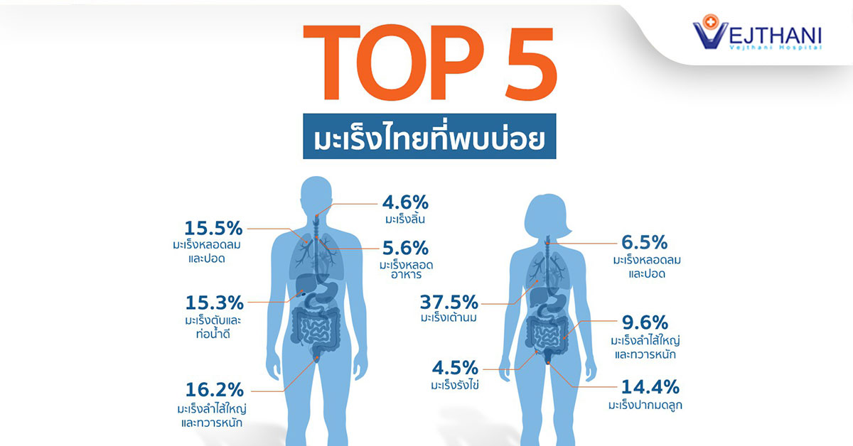 มะเร็งที่พบบ่อยในไทย - Vejthani Cancer